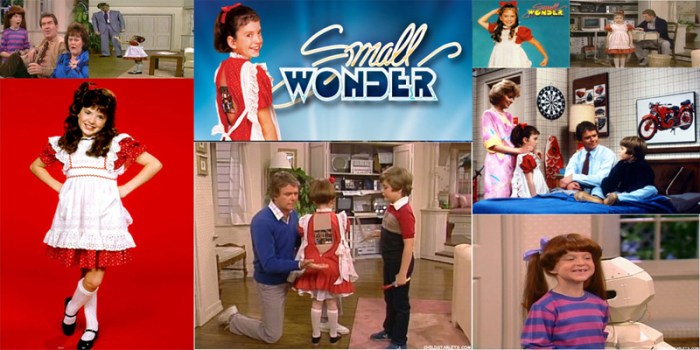 Super Vicki: la strana storia vera dietro la sitcom più bizzarra degli ...